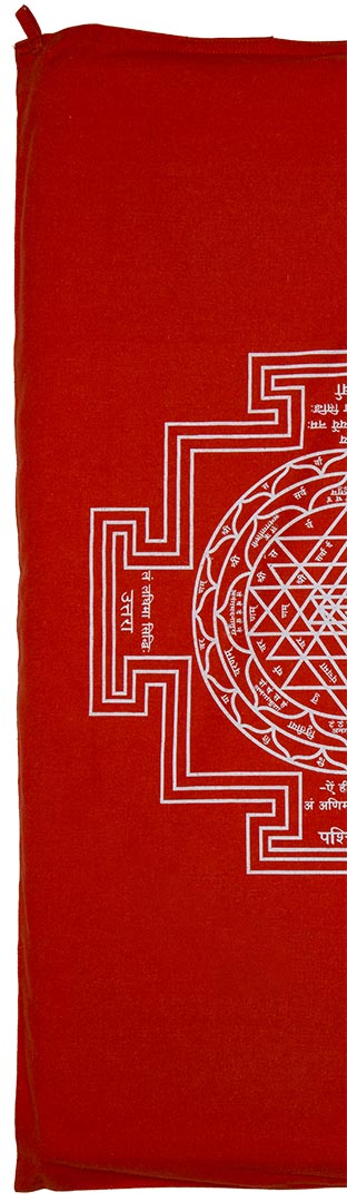 Shaktimat-von-Hinten-Horizontal-Linke-Seite - Akupressurmatte ABC